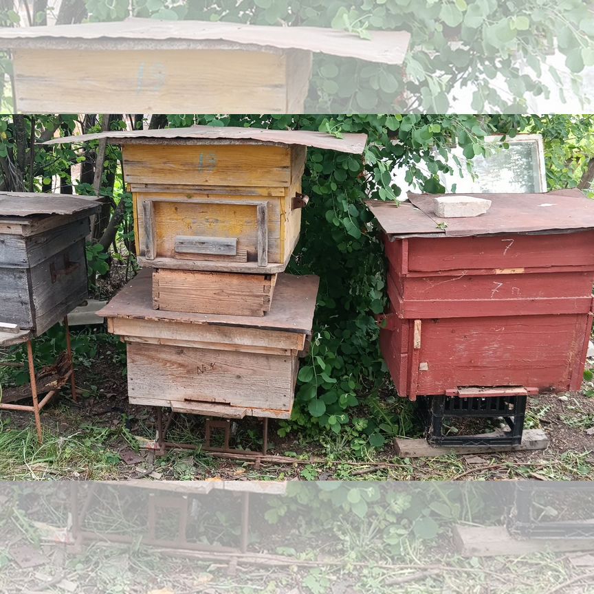 Продам ульи для пчел с магазином, сущью