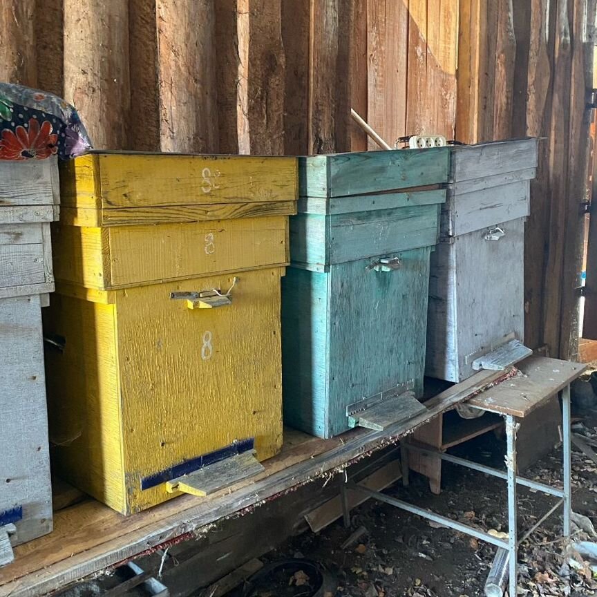 Ульи для пчел бу