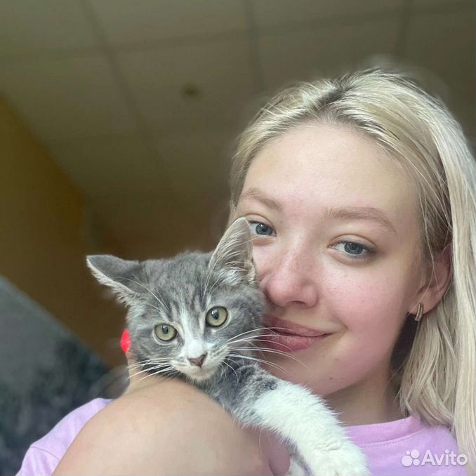 Ищет дом кошечка,само очарование