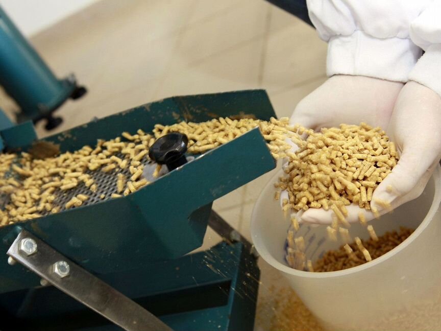 Корм для крс, птиц и других животных опт