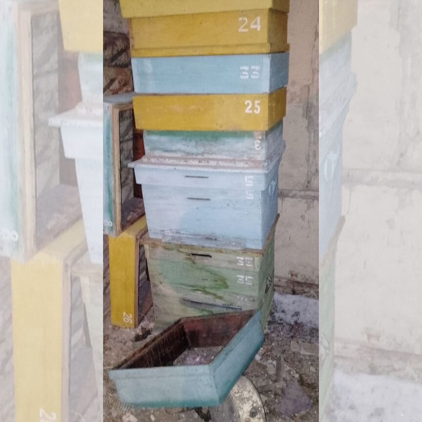 Продам ульи для пчел