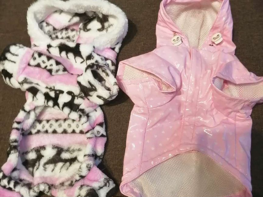 Одежда для маленькой собачки