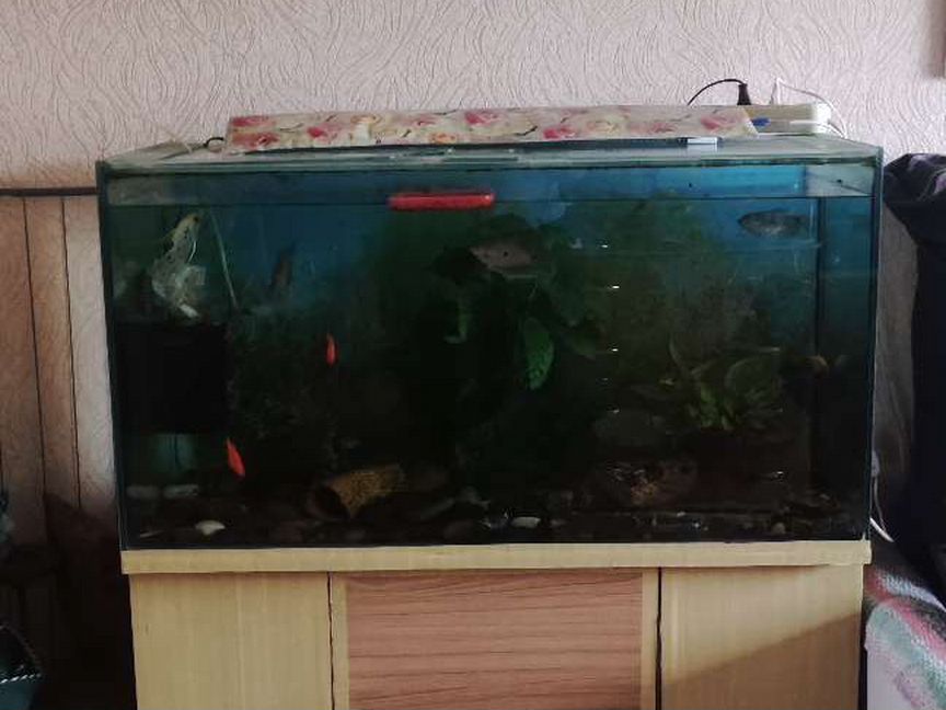 Аквариум с тумбой 215 л