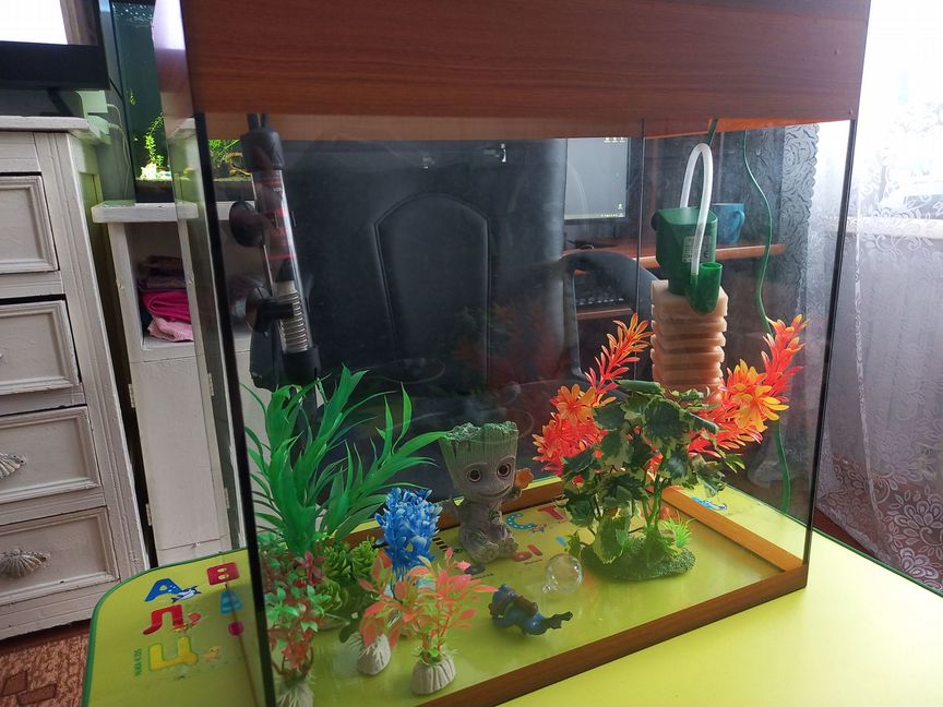 Аквариум с оборудованием и декорациями