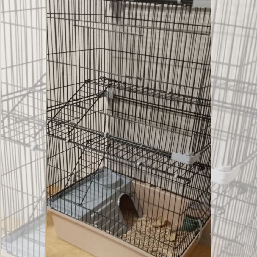 Клетка для грызунов бу