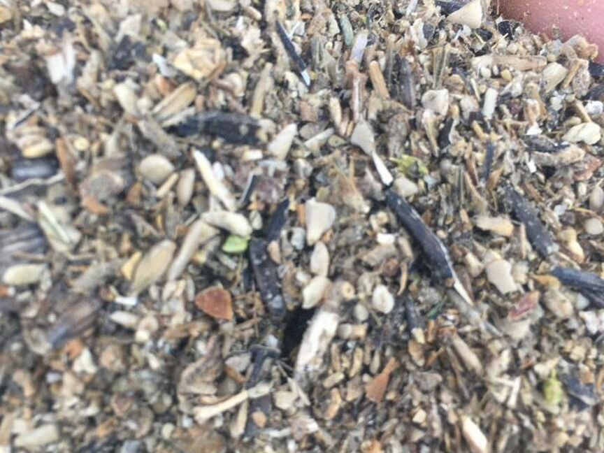 Отходы семечек