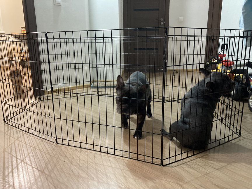 Вольер для животных