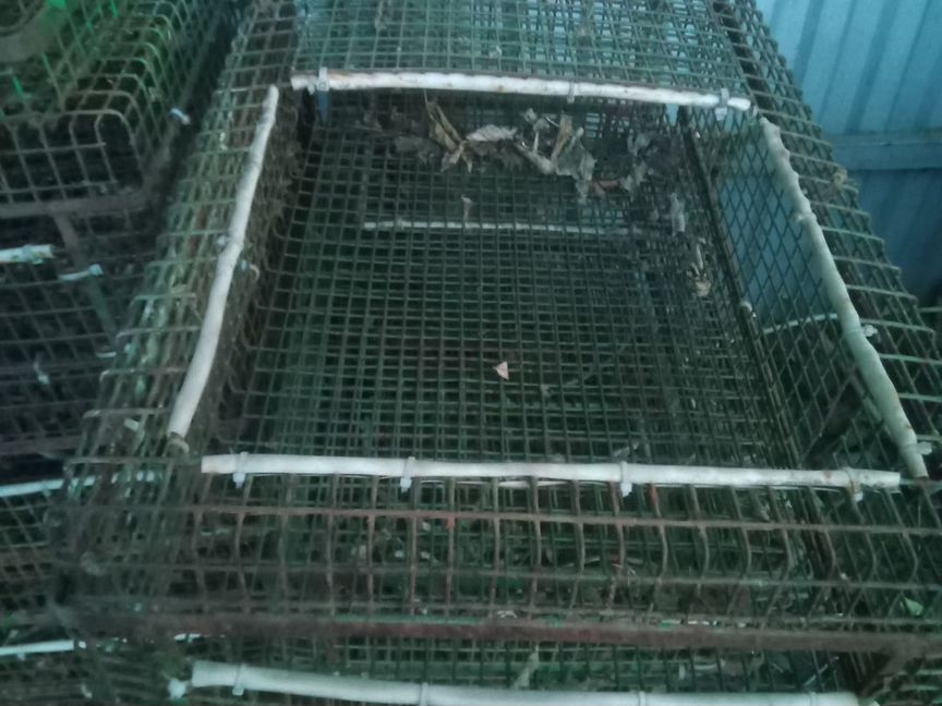 Клетки для перевозки кур
