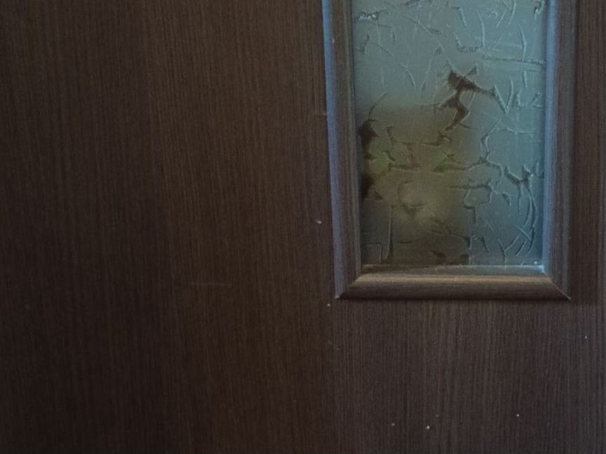 Вы видите здесь кота