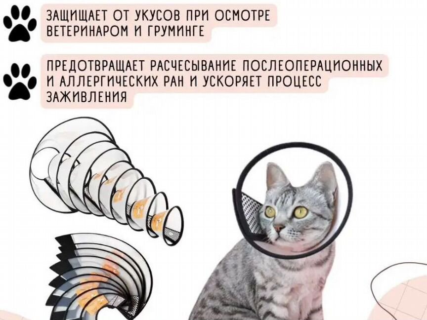 Защитный ветеринарный воротник маленький
