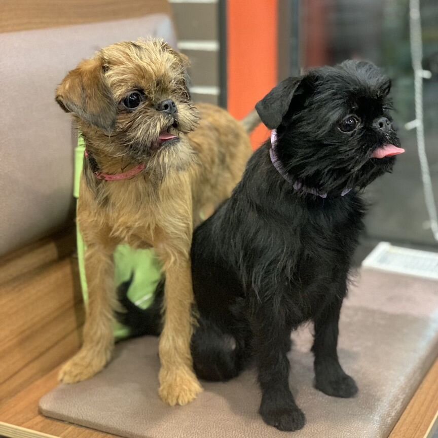 Даша ждет семью