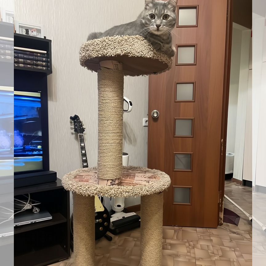 Когтеточка лежанка для кошки