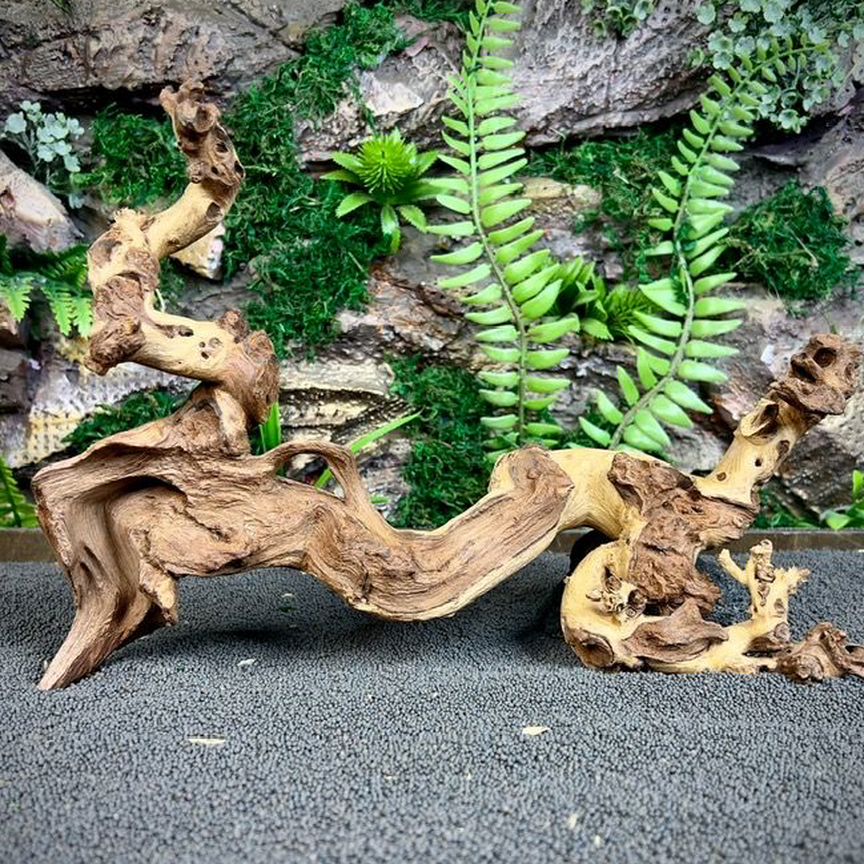Коралловое дерево/Coral Wood кд690