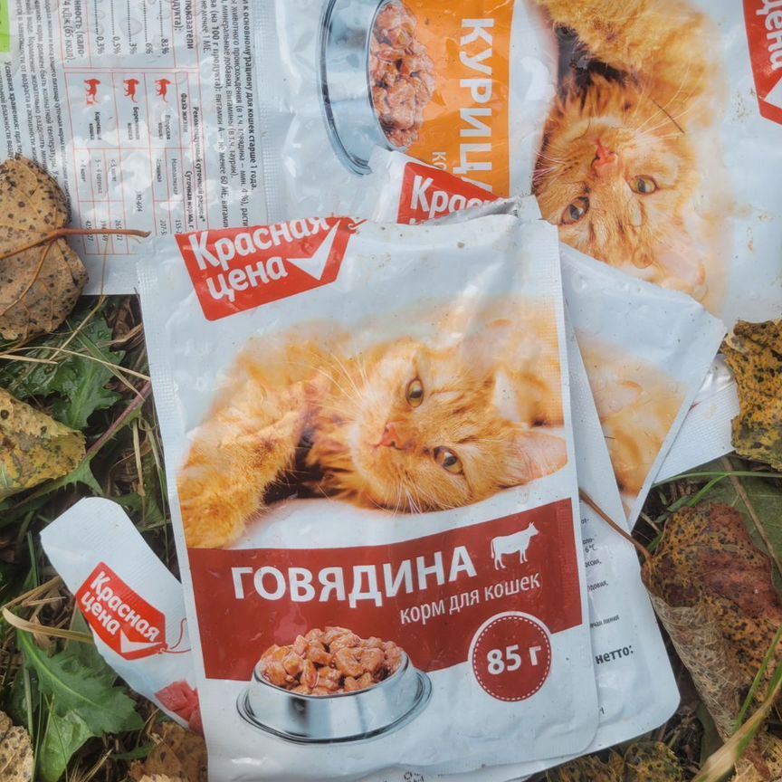 Кошачья еда