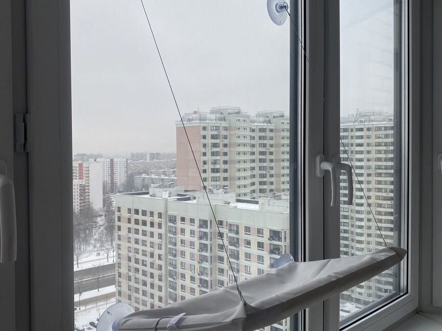 Гаммак для кошек