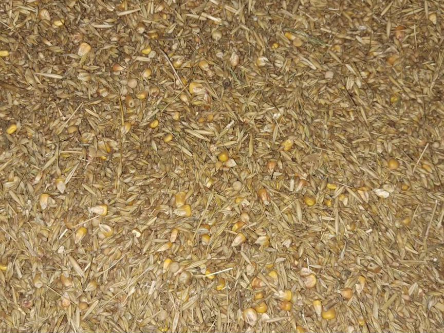 Зерносмесь кукуруза отруби сечка гороха
