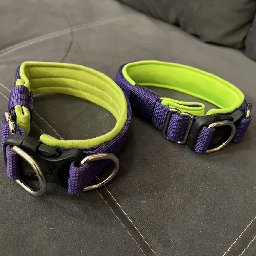 Амуниция для собак