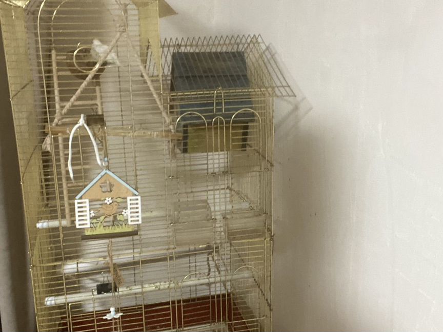 Клетка с птицей