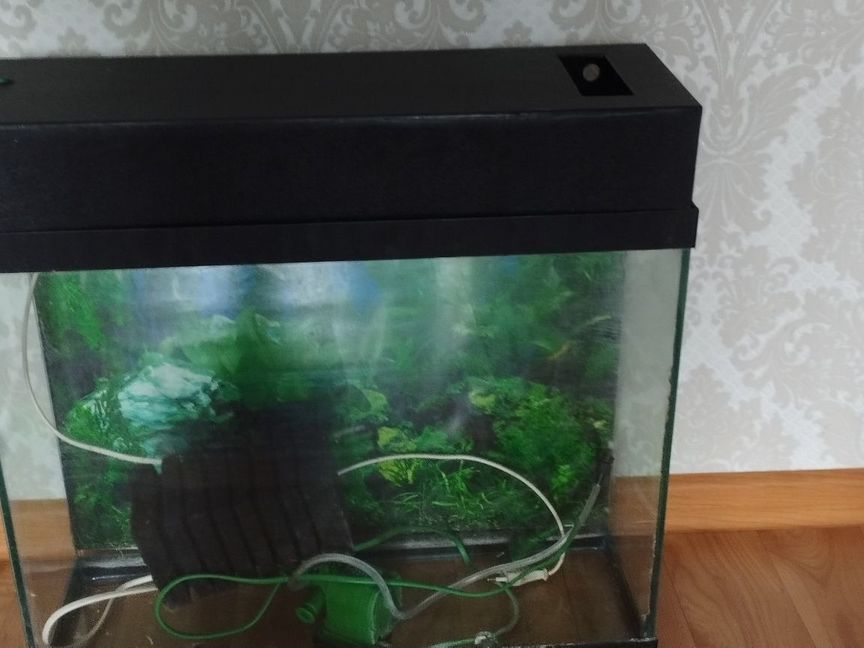 Аквариум