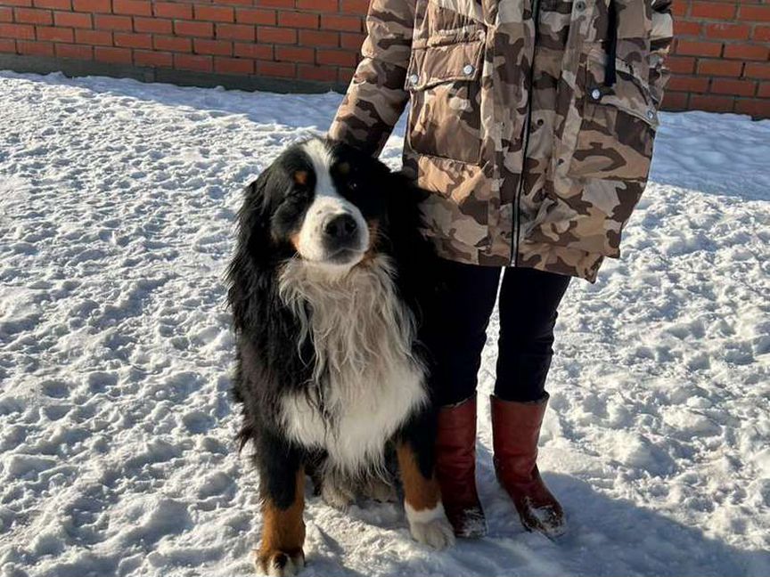 Приглашаем на вязку