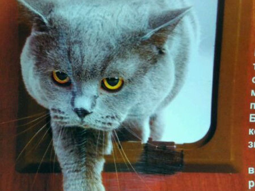 Дверца для животных "Барсик"