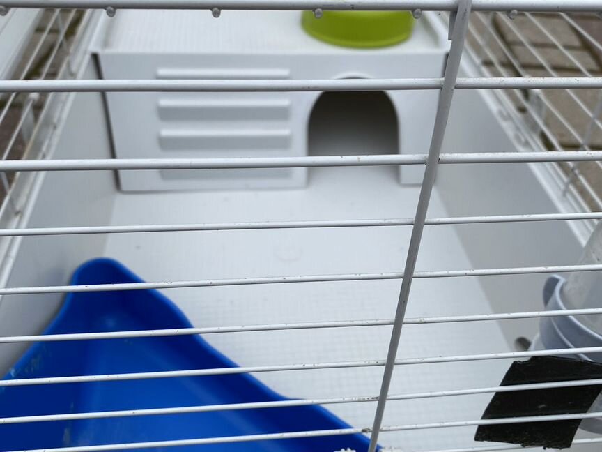 Клетка для грызунов ferplast