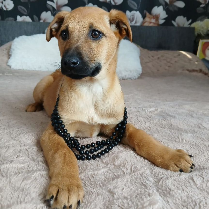 Сказочная Фея ждет родителей