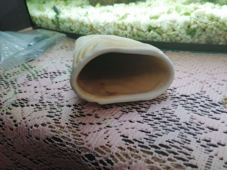 Грот для сомов