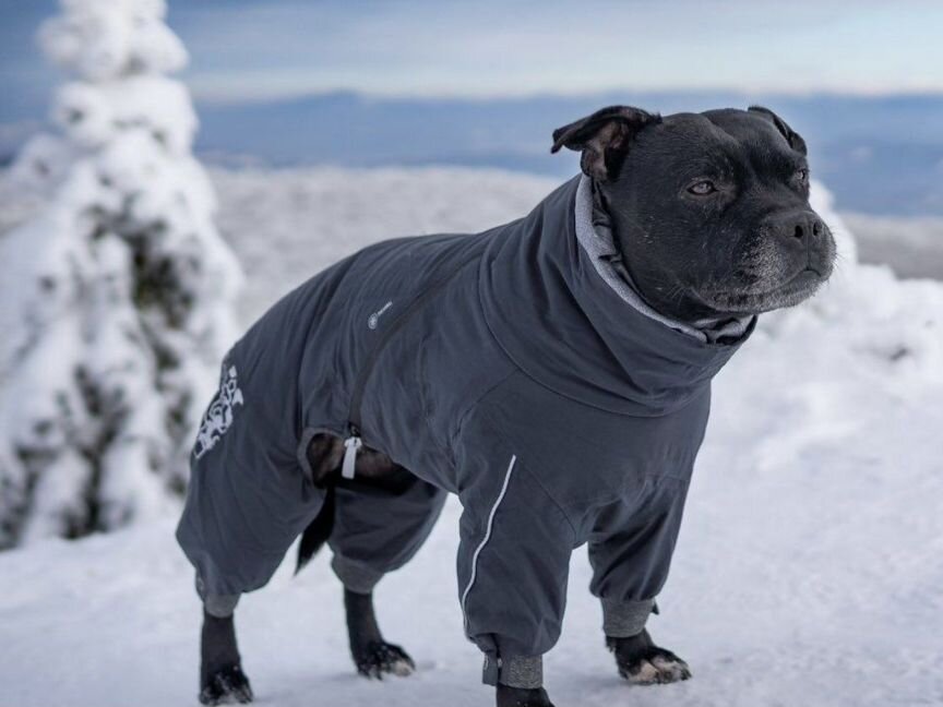 Комбинезон для собак зимний Extreme Overall