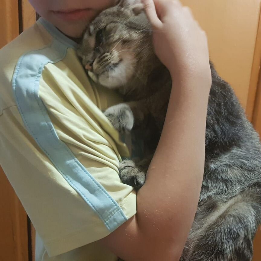 Невероятный котик ищет дом