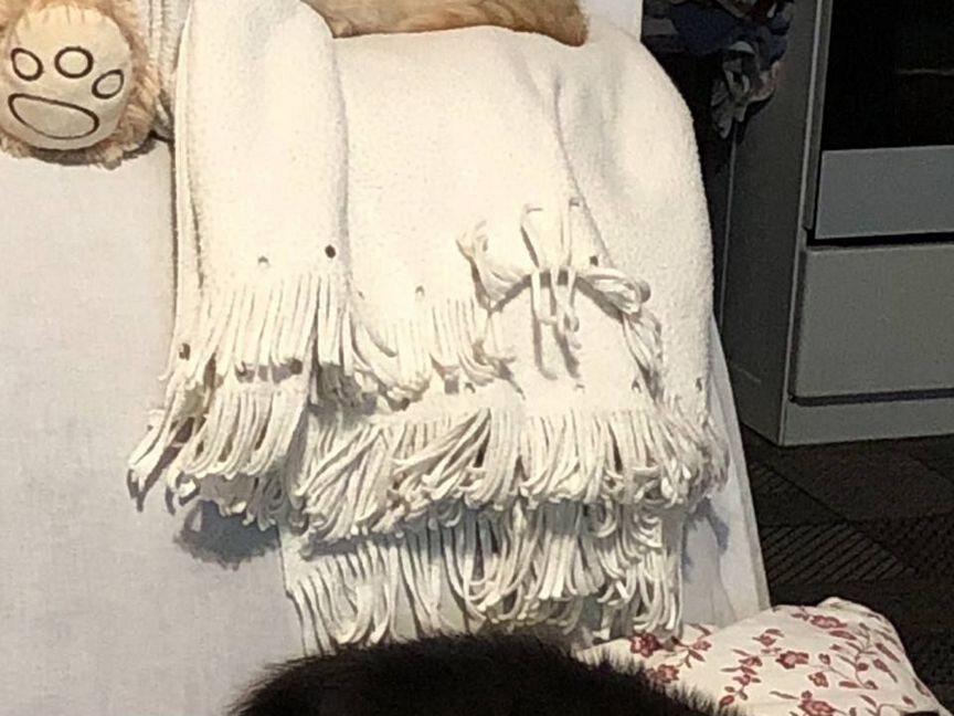 Два брата в самые ответственные руки