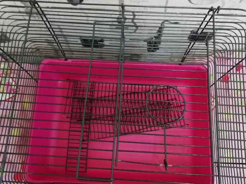 Клетка для грызунов