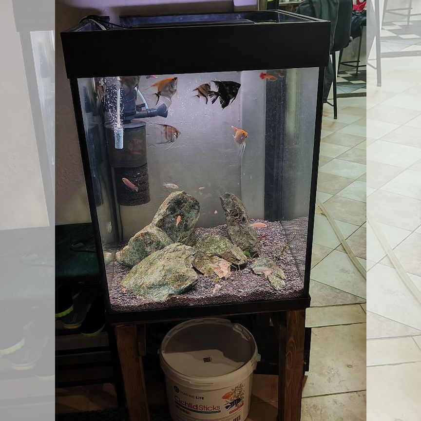 Аквариум 140л под ключ