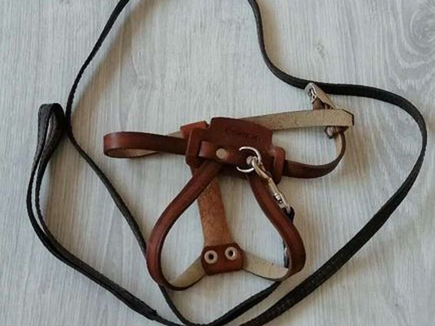 Шлейка с поводком