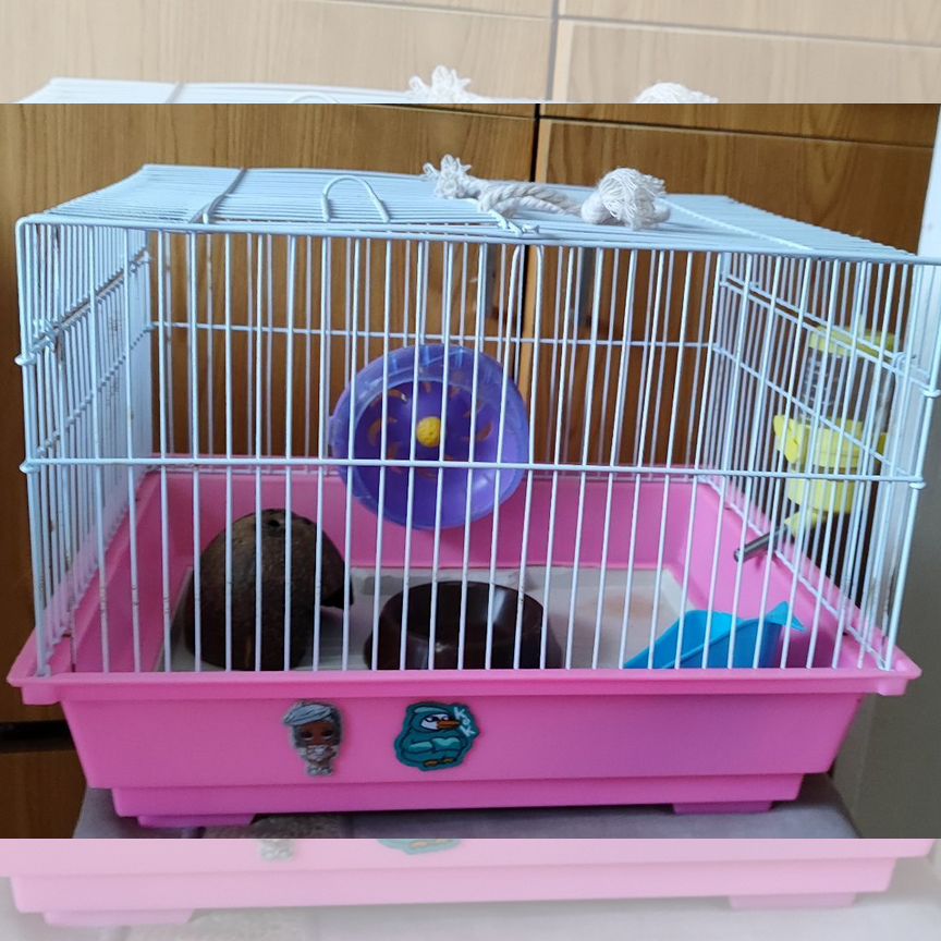 Клетка для грызунов бу