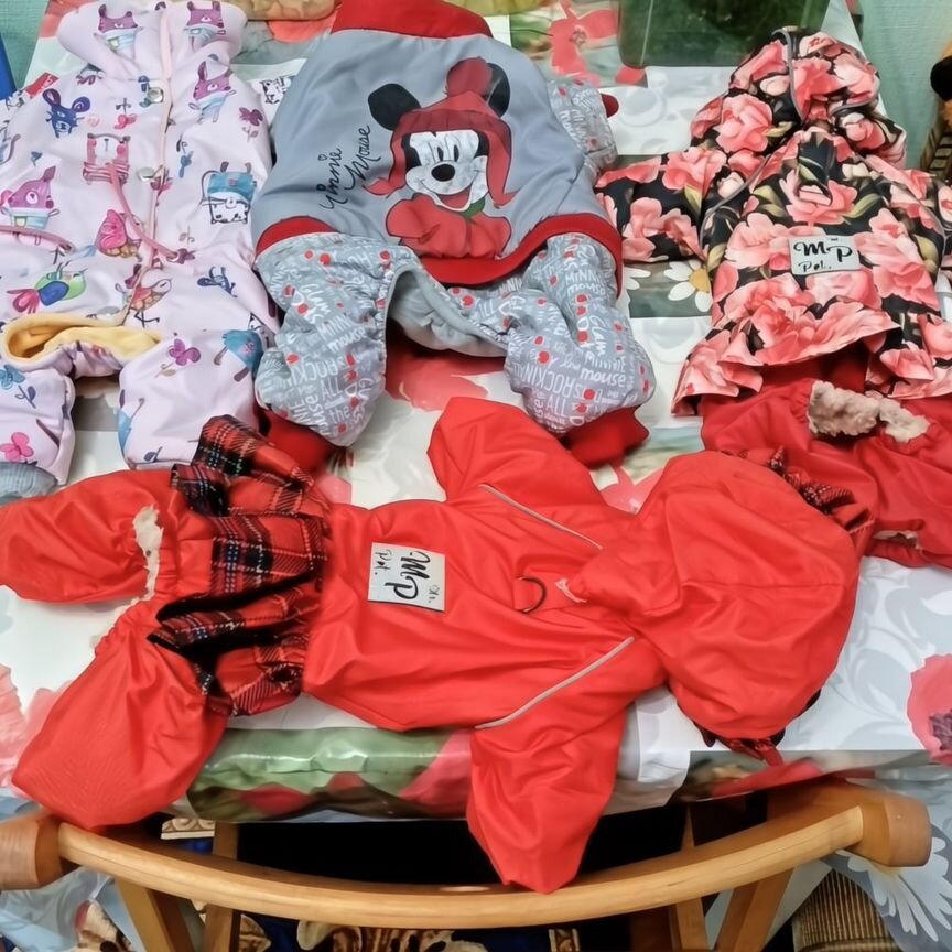 Одежда для маленьких собак