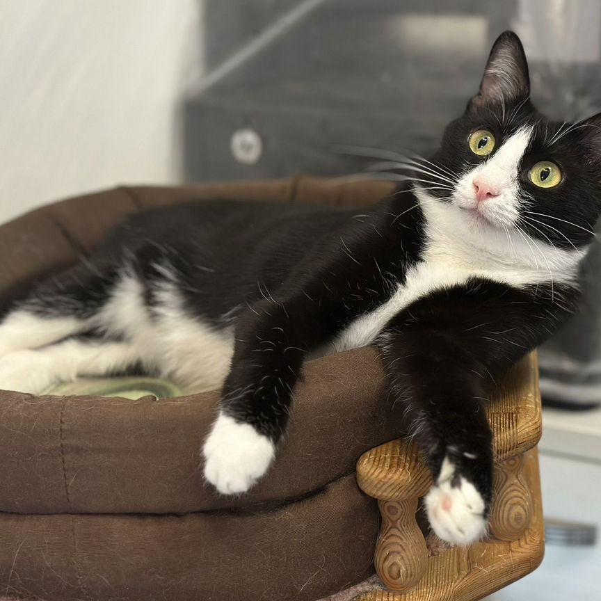 Максим в самые надёжные руки