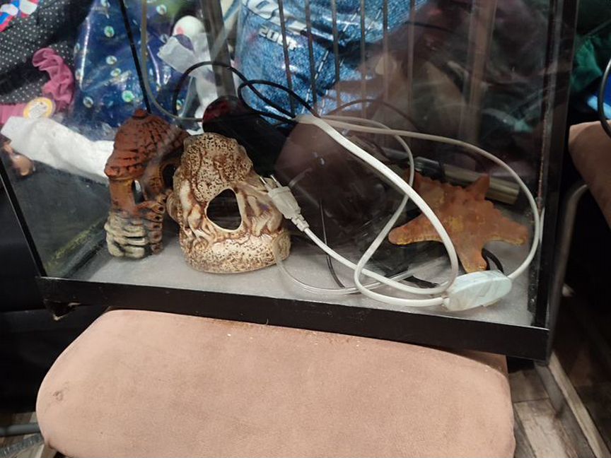 Продам аквариум полный комплект