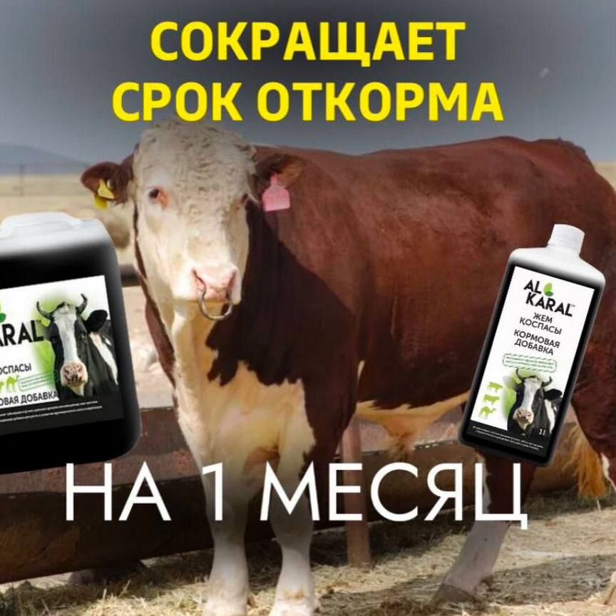 Добавка для бычков, натуральная