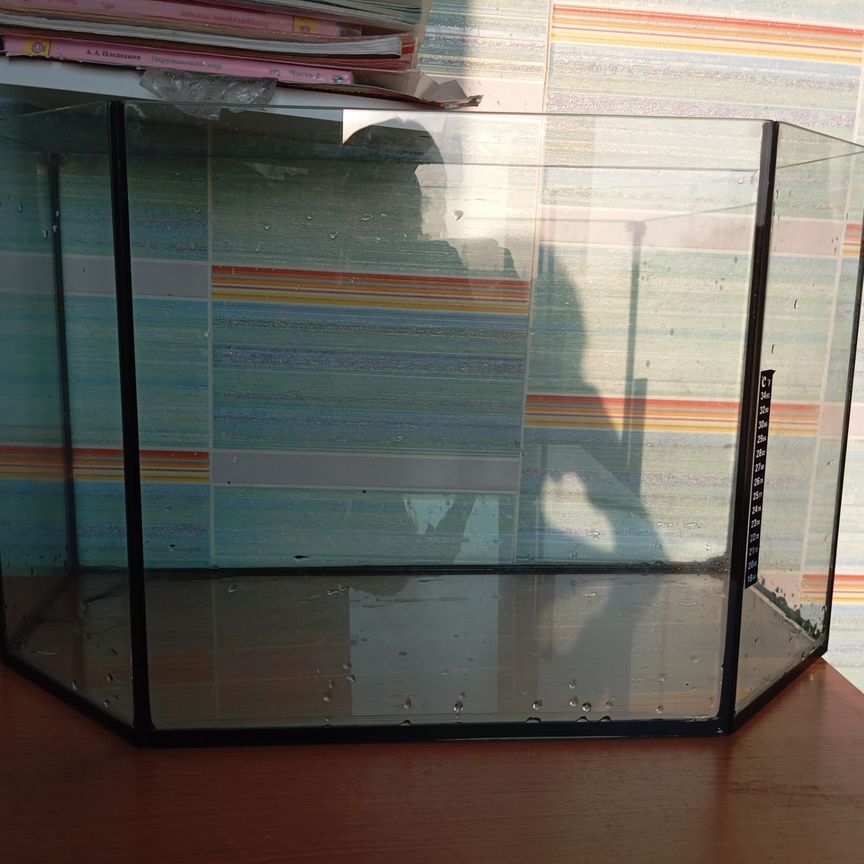 Террариум (аквариум)