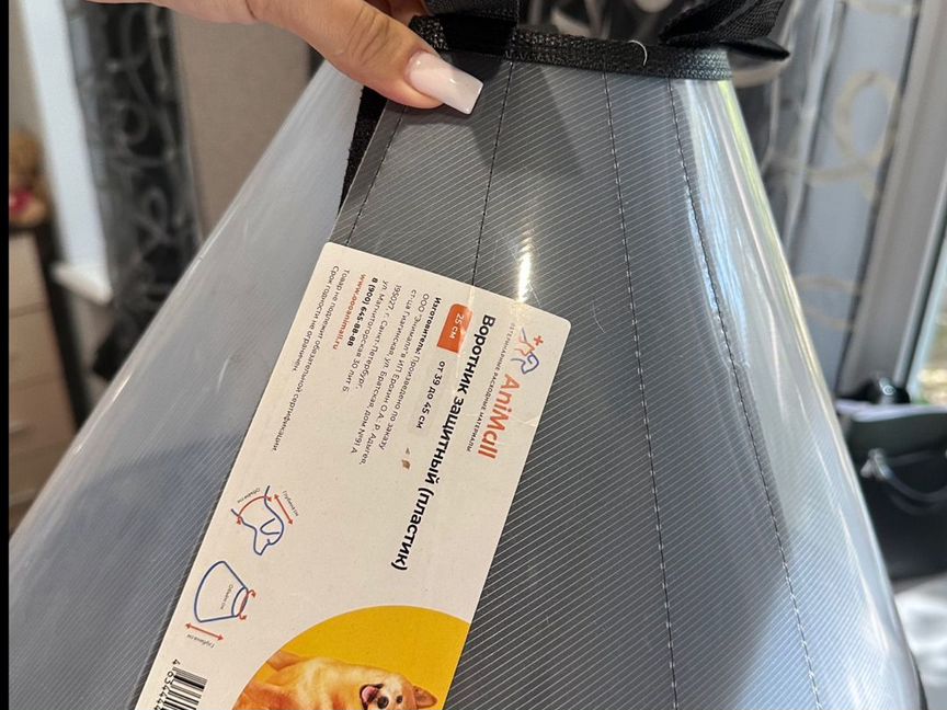 Ветеринарный воротник