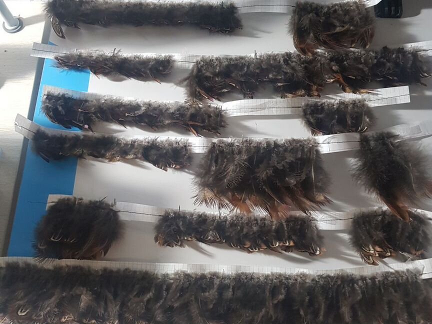 Перья фазана