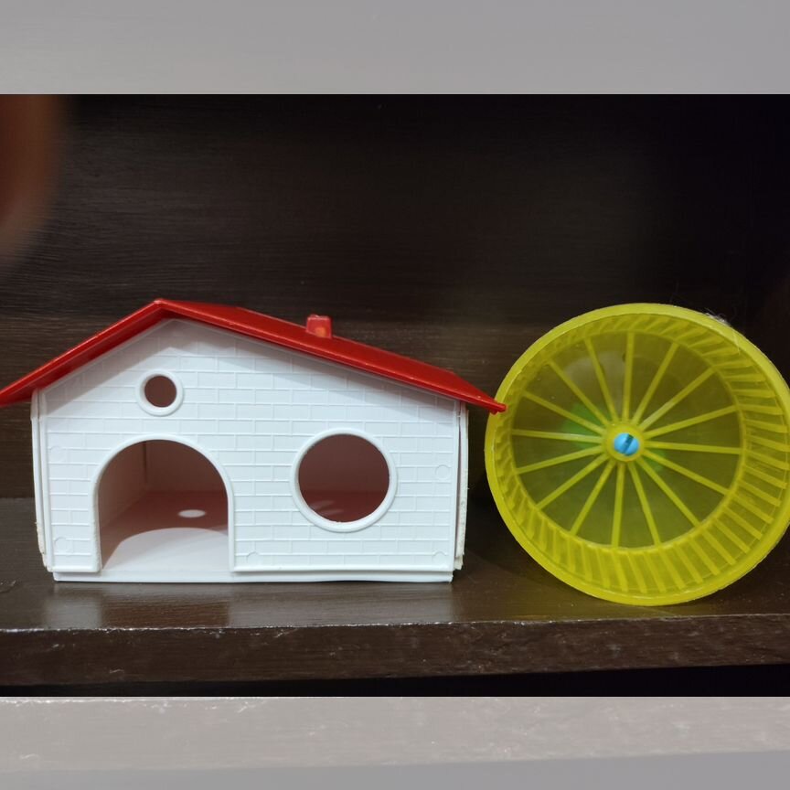 Аксессуары для грызунов