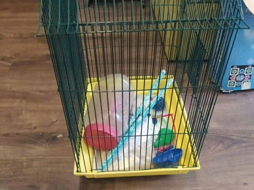 Клетка для попугая бу