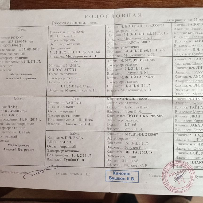 Русская гончая