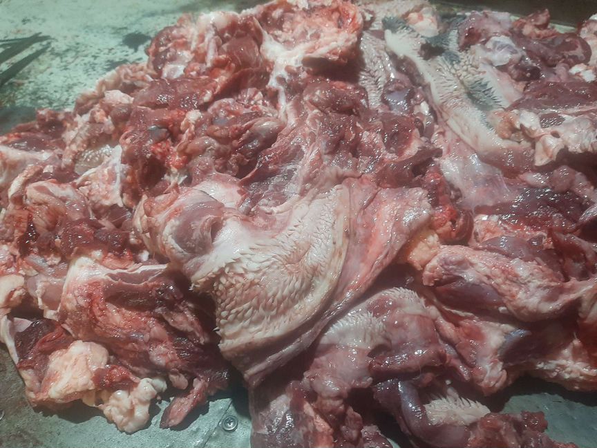 Мясо обрези для собак