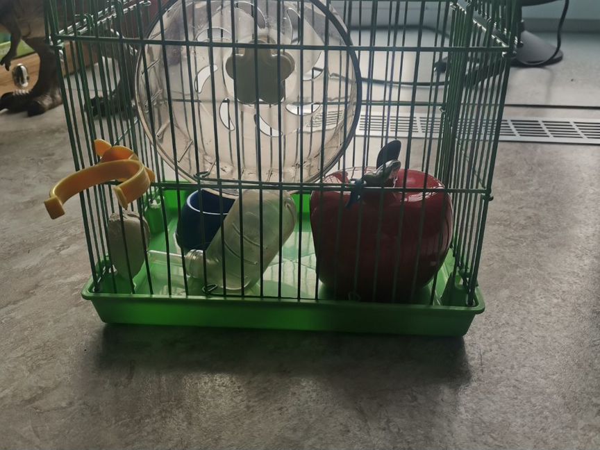 Клетка для хомяка