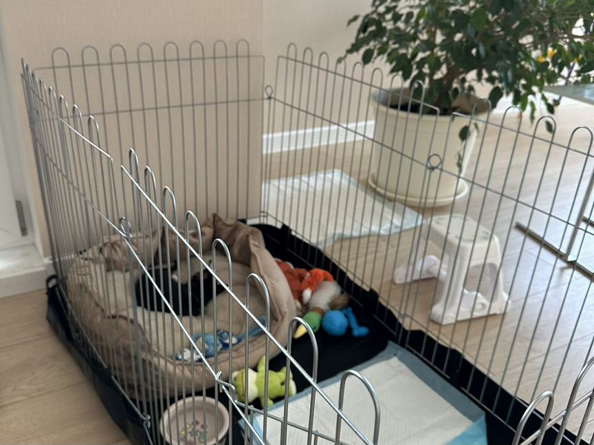 Вольер для собак в квартиру бу
