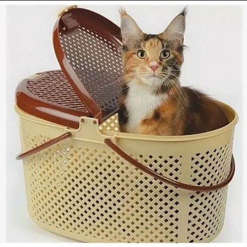 Переноска для кошек