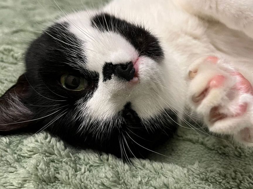 Марфушенька-душенька